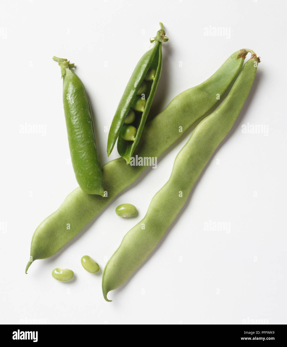 Runner bean phaseolus coccineus pods hi-res stock photography and ...
