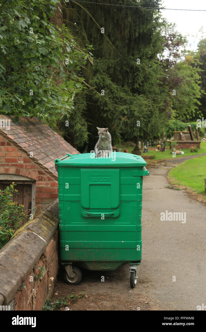 Rubbish bin uk hi-res stock photography and images - Alamy