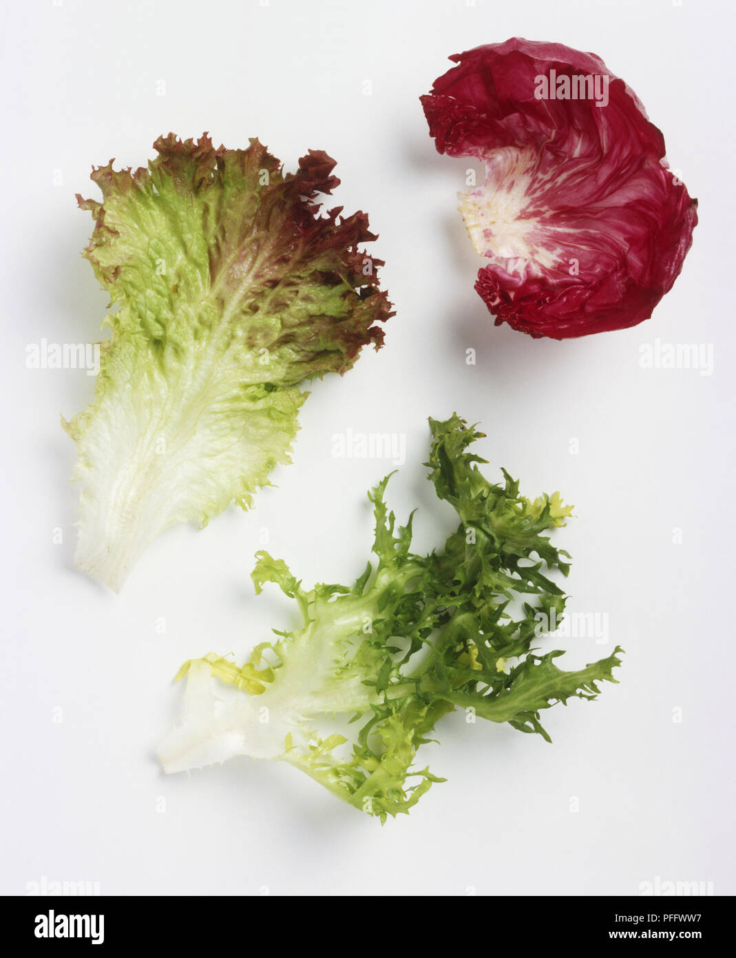 Radiccio leaf hi-res stock photography and images - Alamy