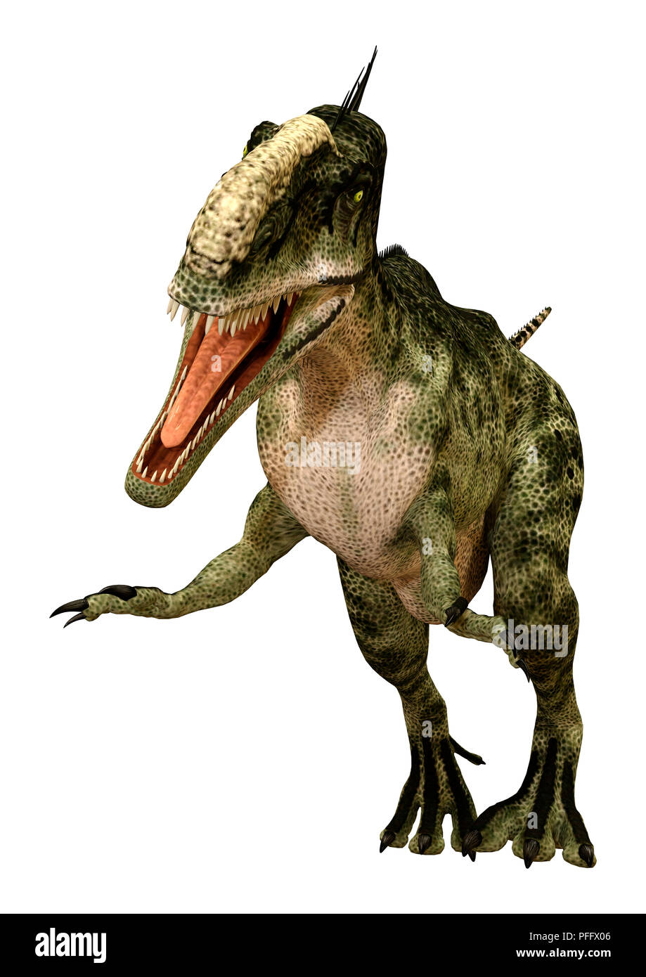 3D rendering of a dinosaur Monolophosaurus isolated on white background ...