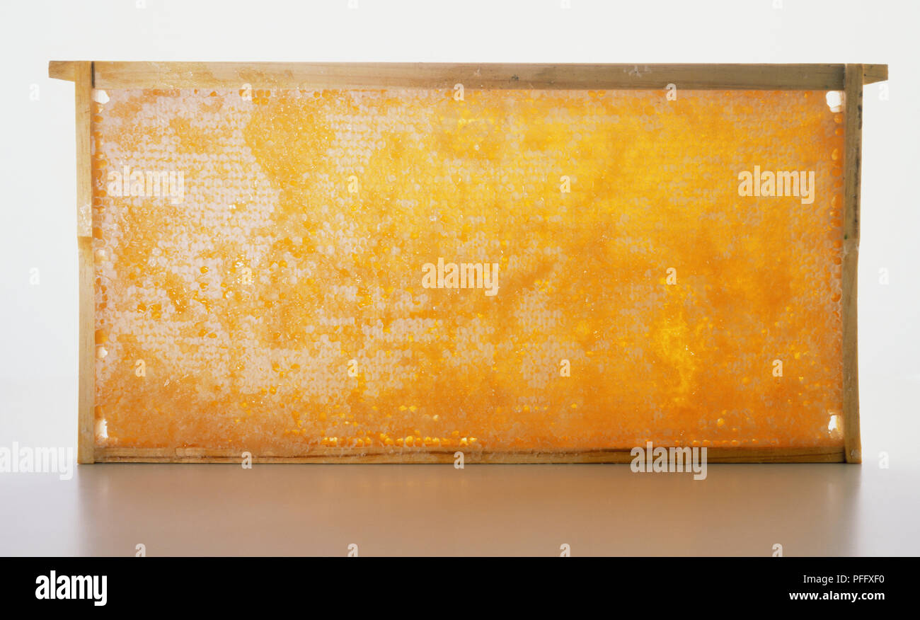 Honeycomb in its frame Golden colour, wooden frame Stock Photo - Alamy