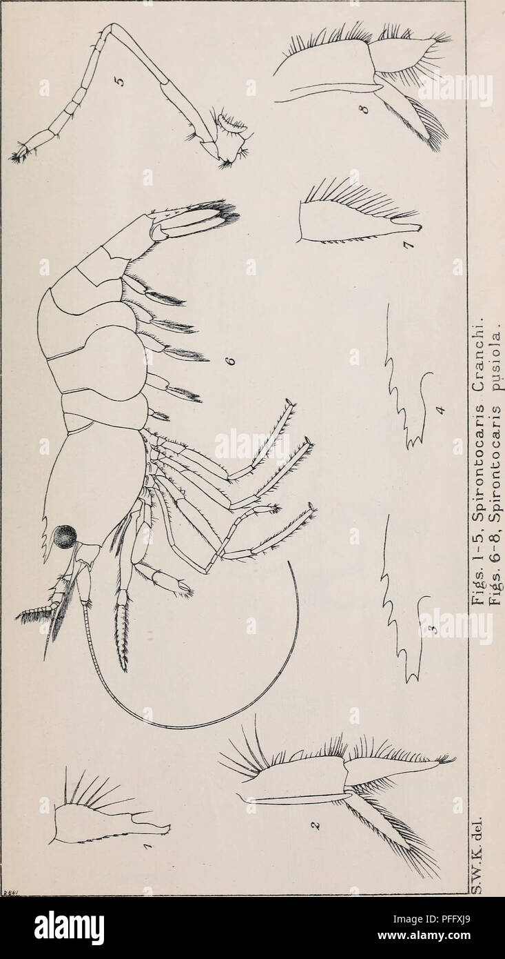 This publication focuses on the decapod species found along the coasts ...