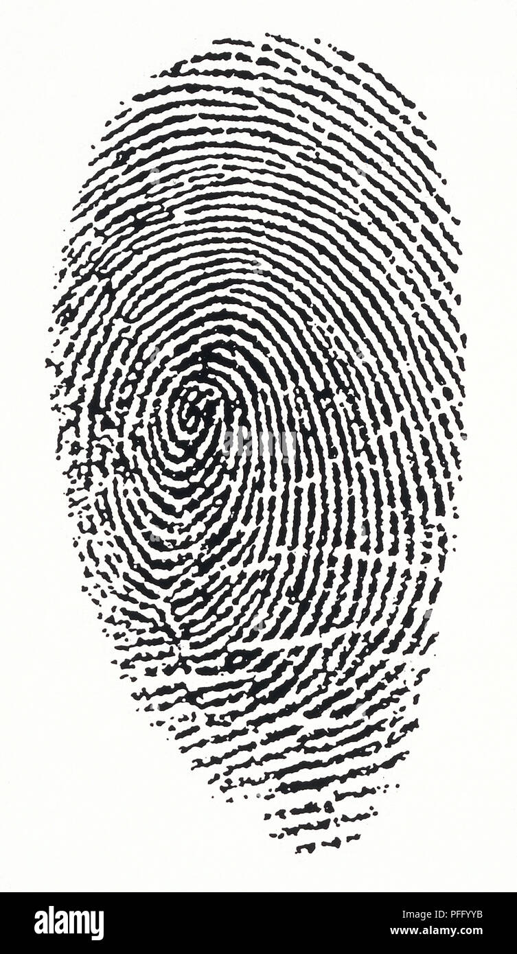 Fingerprint evidence Cut Out Stock Images & Pictures - Alamy