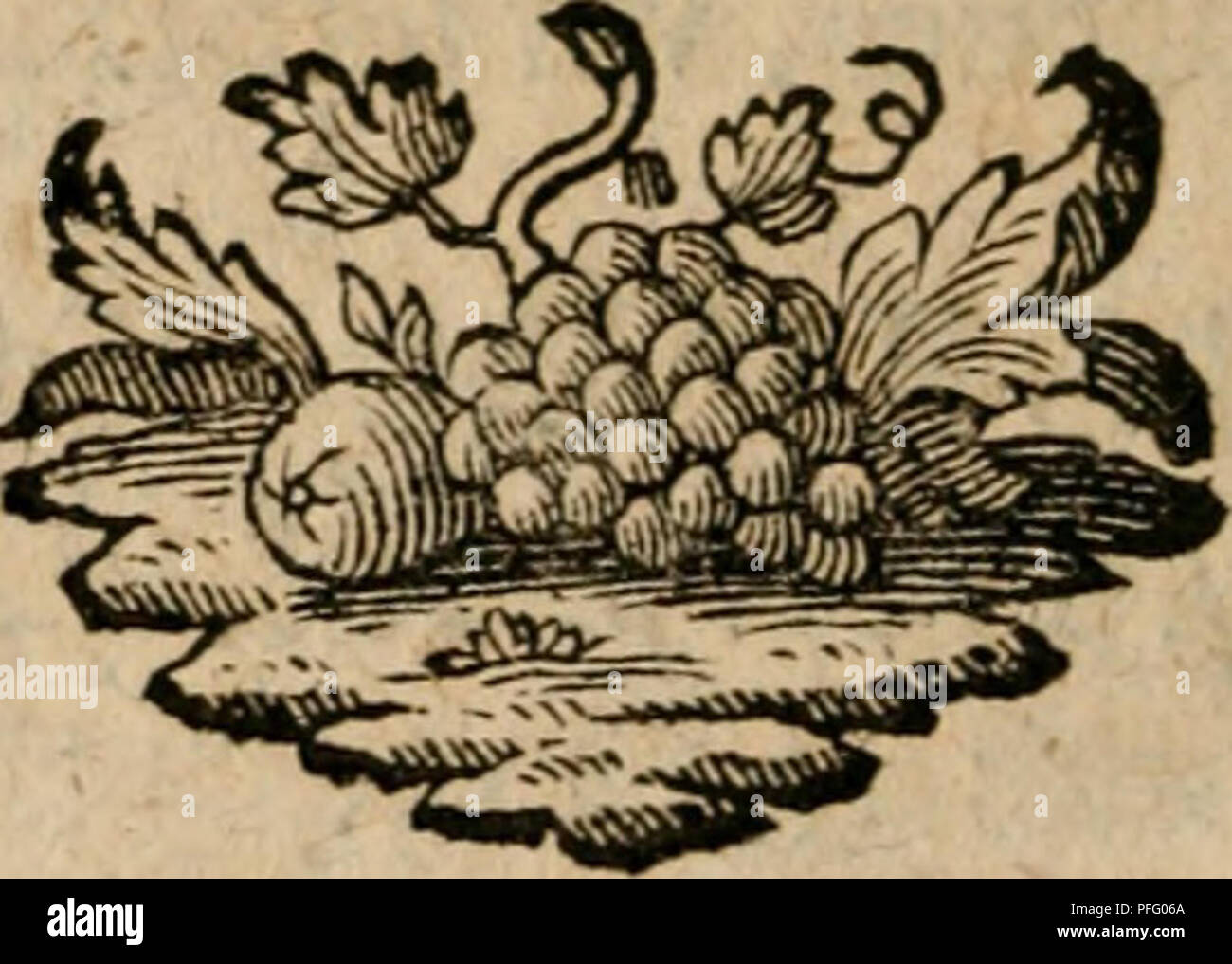 Ludwig classification hi-res stock photography and images - Alamy