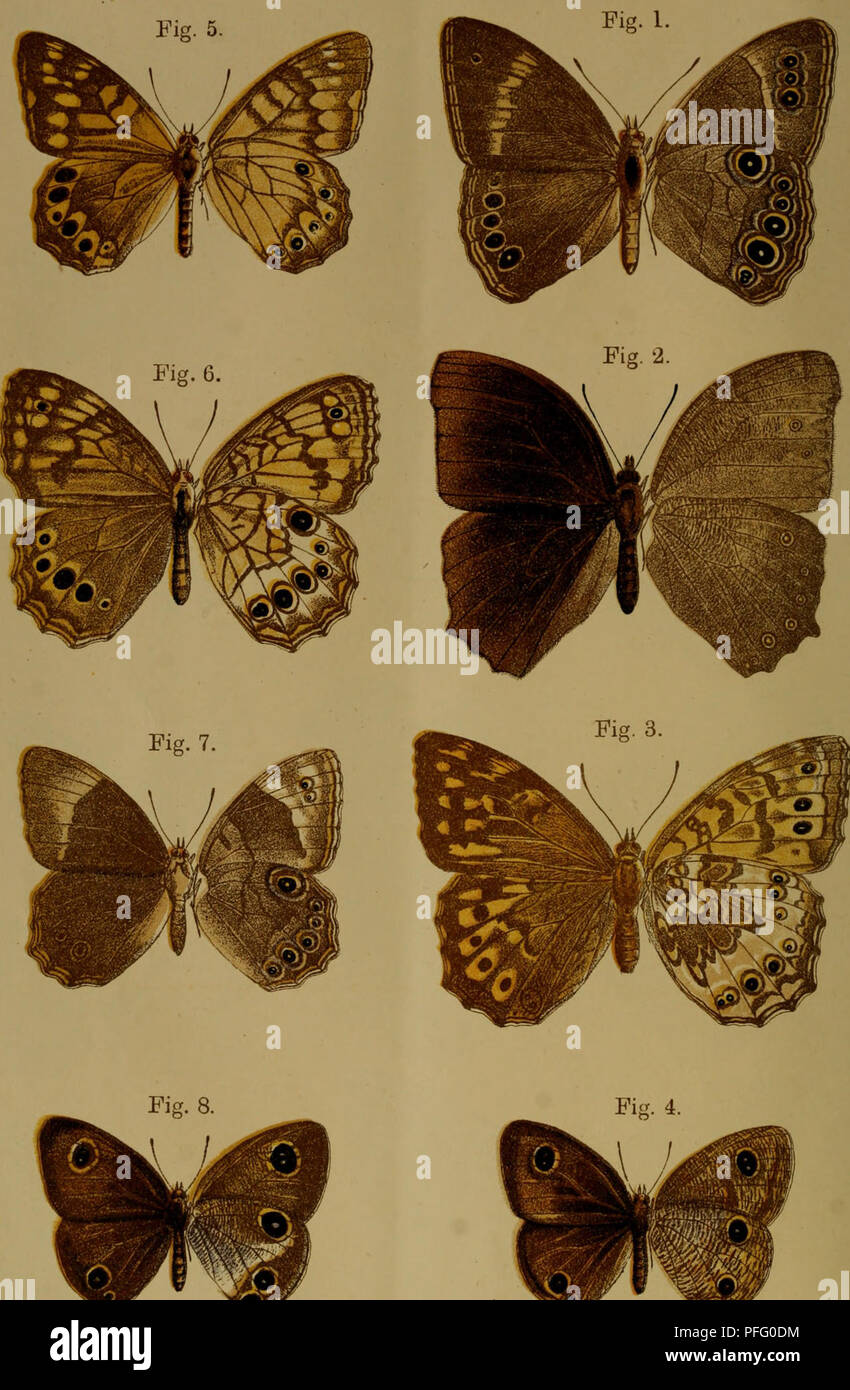 This zoological work discusses various topics in zoology, including ...