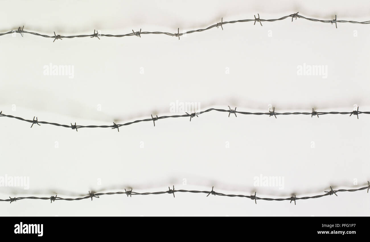 Three lines of barbed wire Stock Photo - Alamy