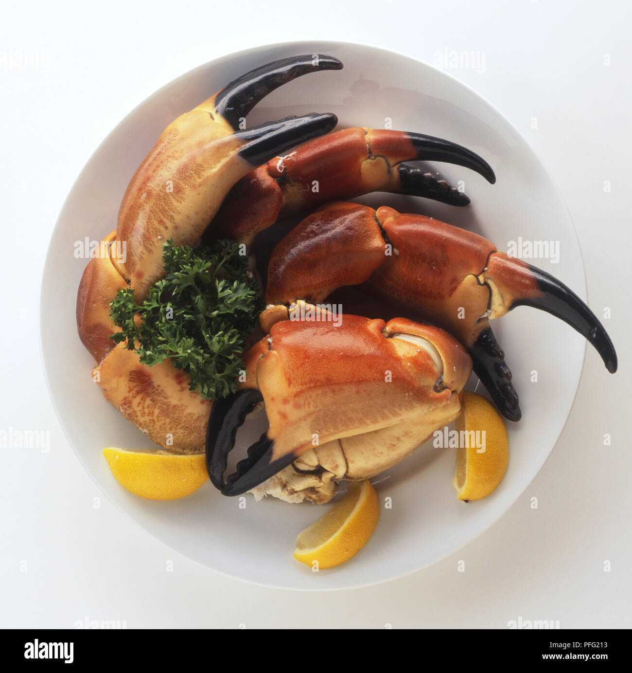 Florida stone crab hi-res stock photography and images - Alamy