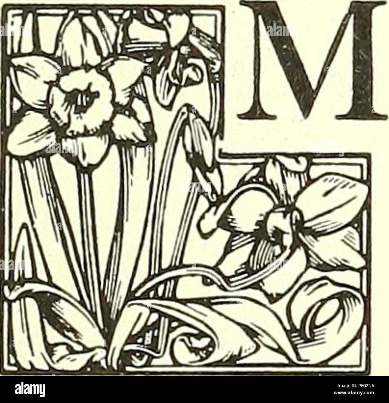 Mr d vaca hi-res stock photography and images - Alamy