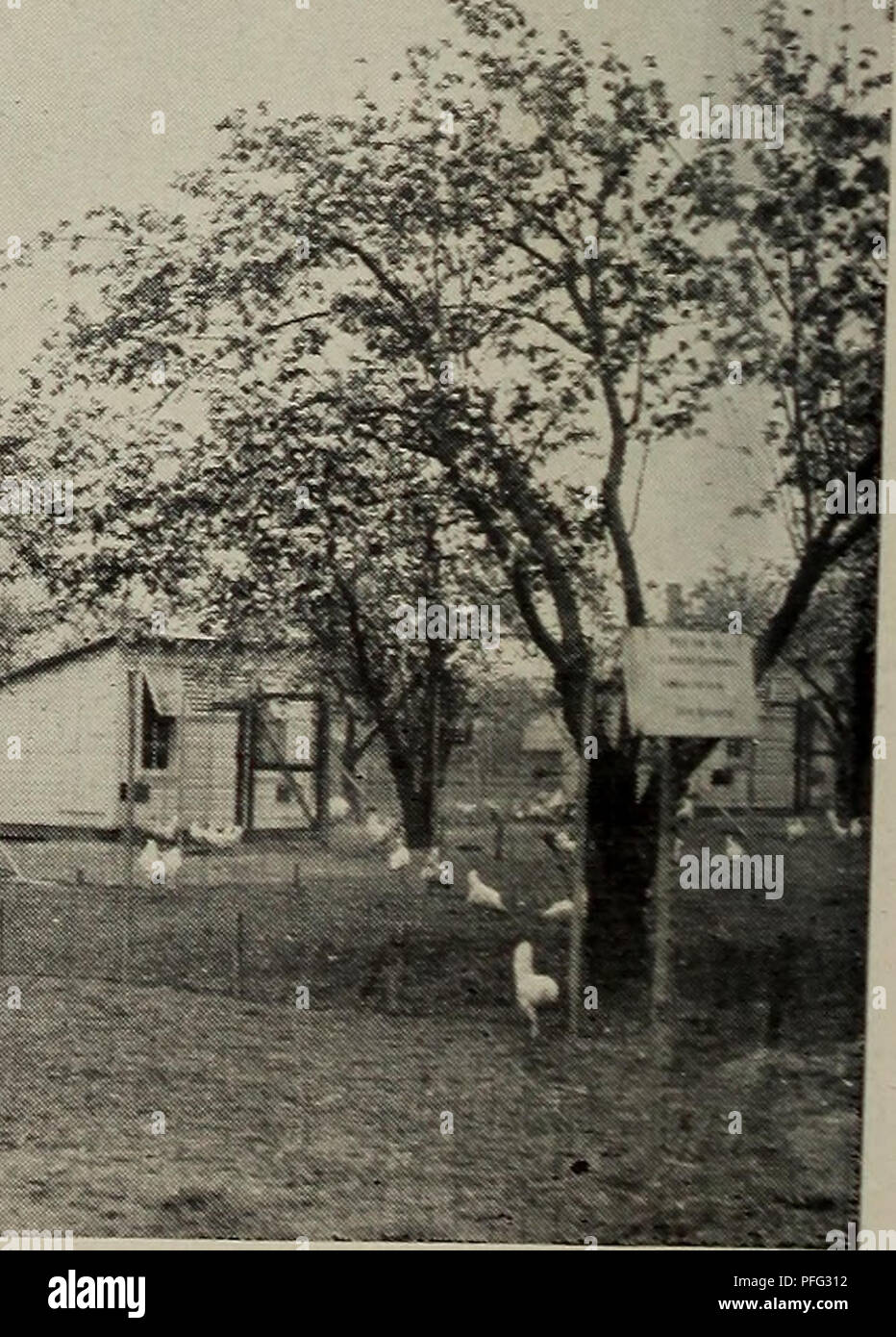 This report discusses a visit to the Missouri State Poultry Experiment ...