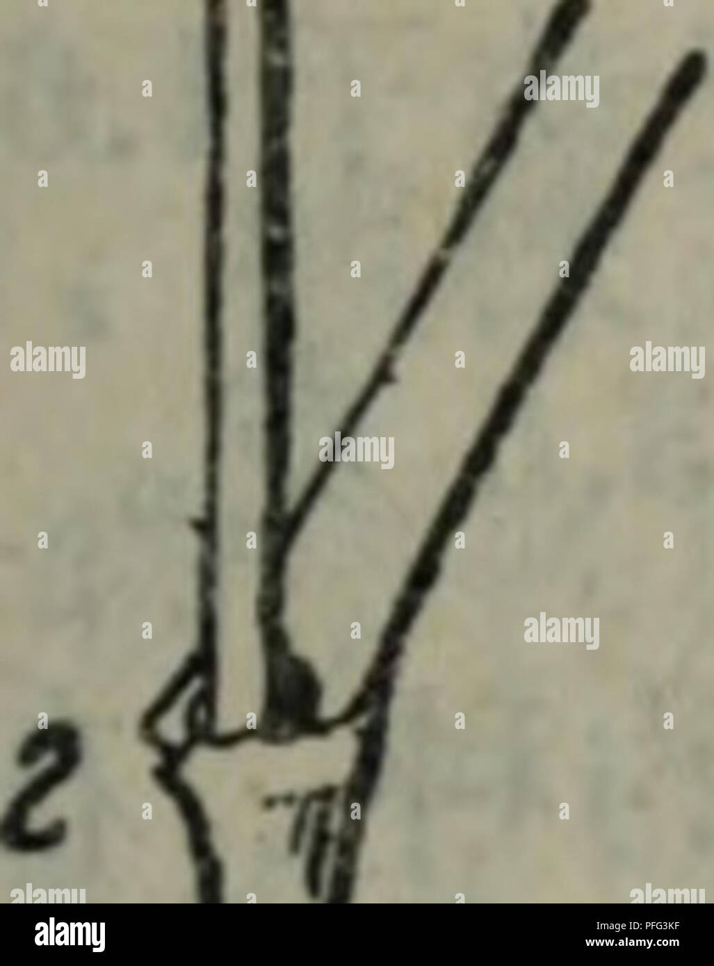 Xue Chen High Resolution Stock Photography and Images - Alamy