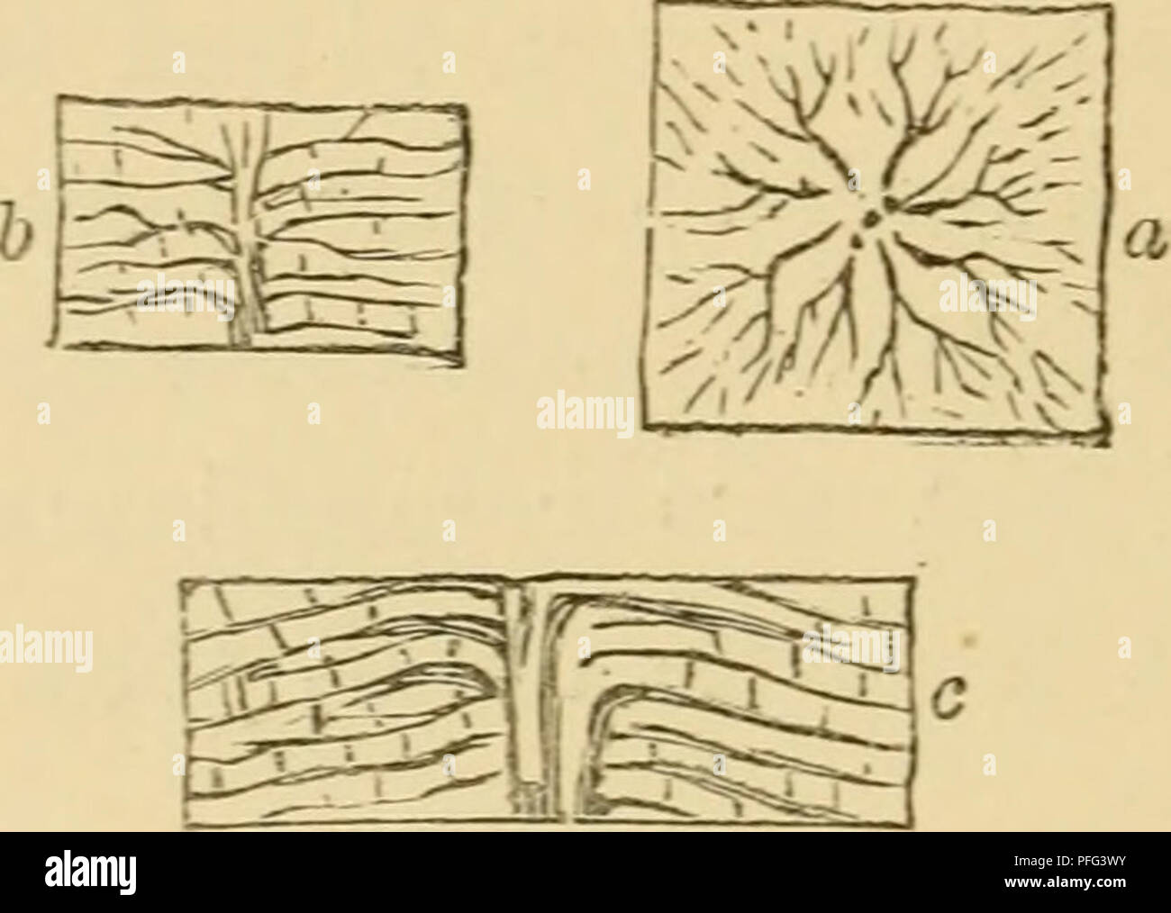 Vertical infiltration hi-res stock photography and images - Alamy