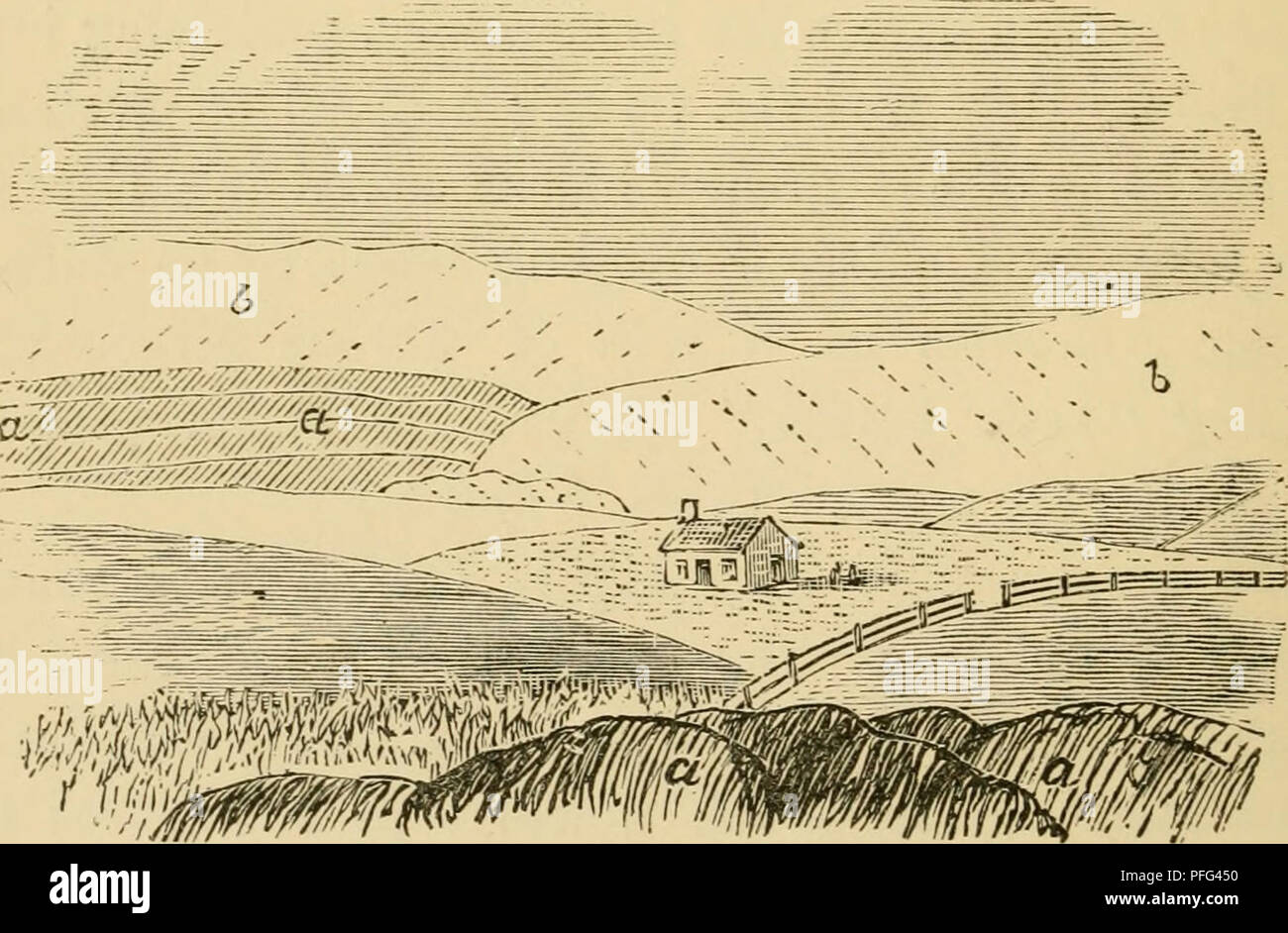 A paleontological work detailing the oldest known fossil remains, such ...