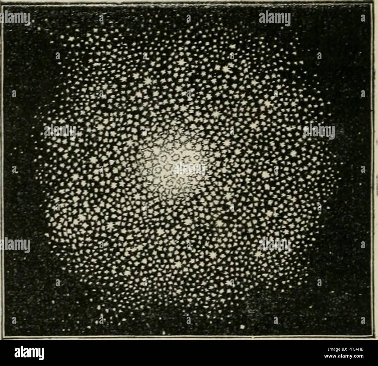 This work provides a detailed description and history of the cosmos ...