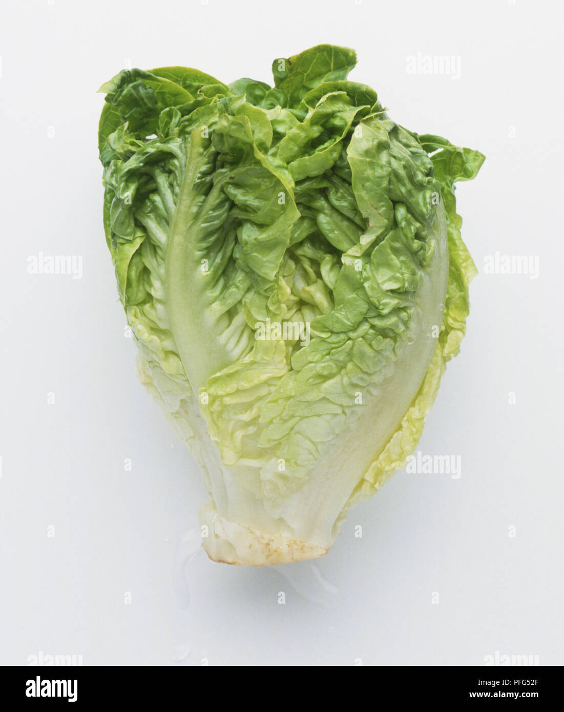 Semi cos hi-res stock photography and images - Alamy