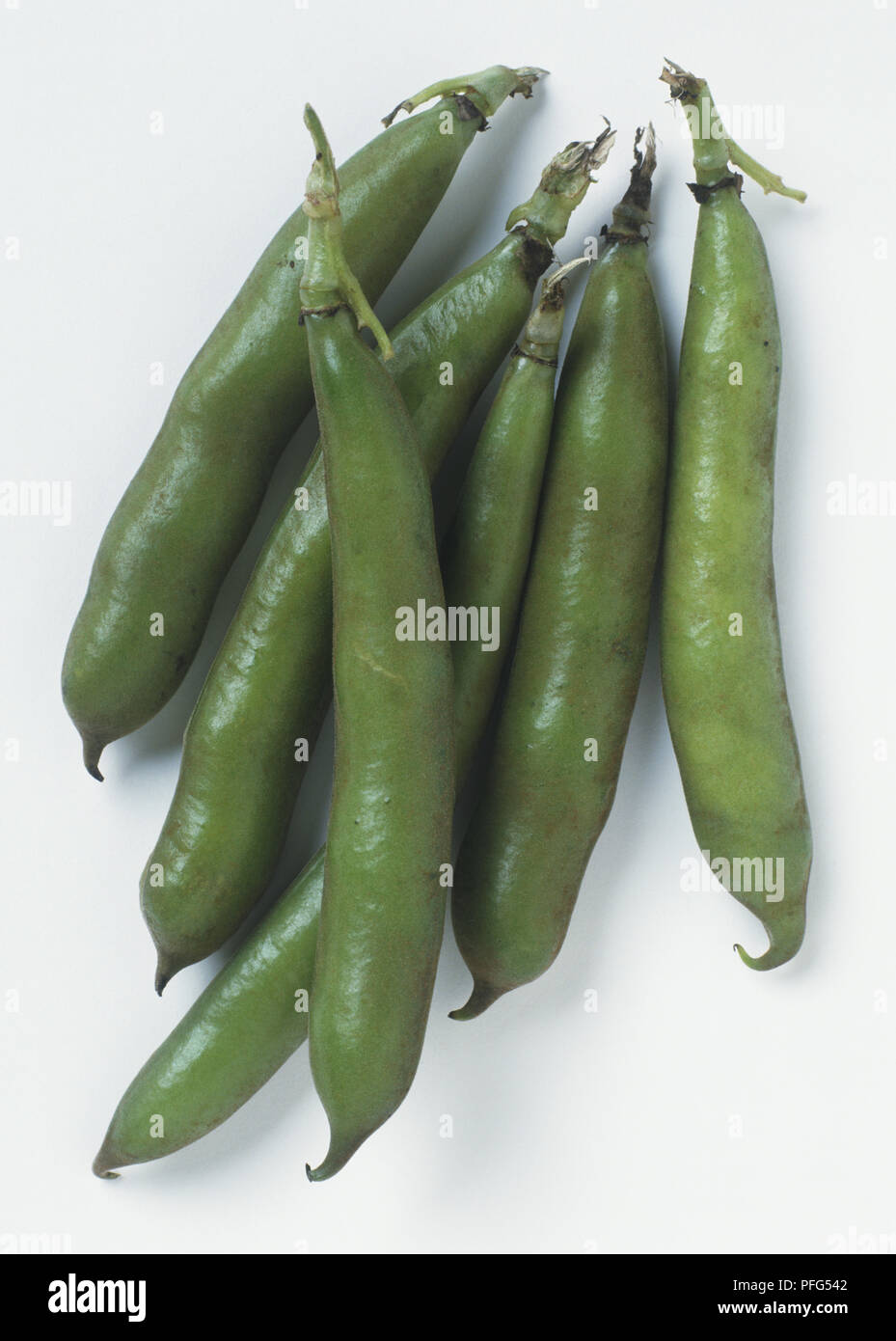 Image faba beans hi-res stock photography and images - Alamy