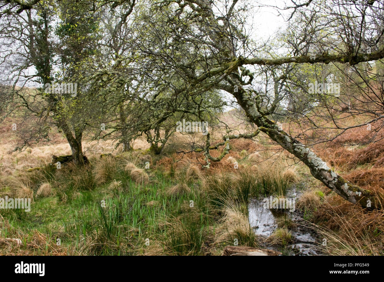 Irish landscape hi-res stock photography and images - Alamy