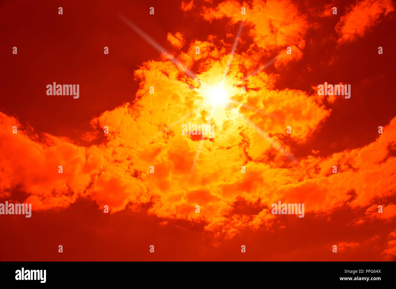 Golden summer sky hi-res stock photography and images - Alamy