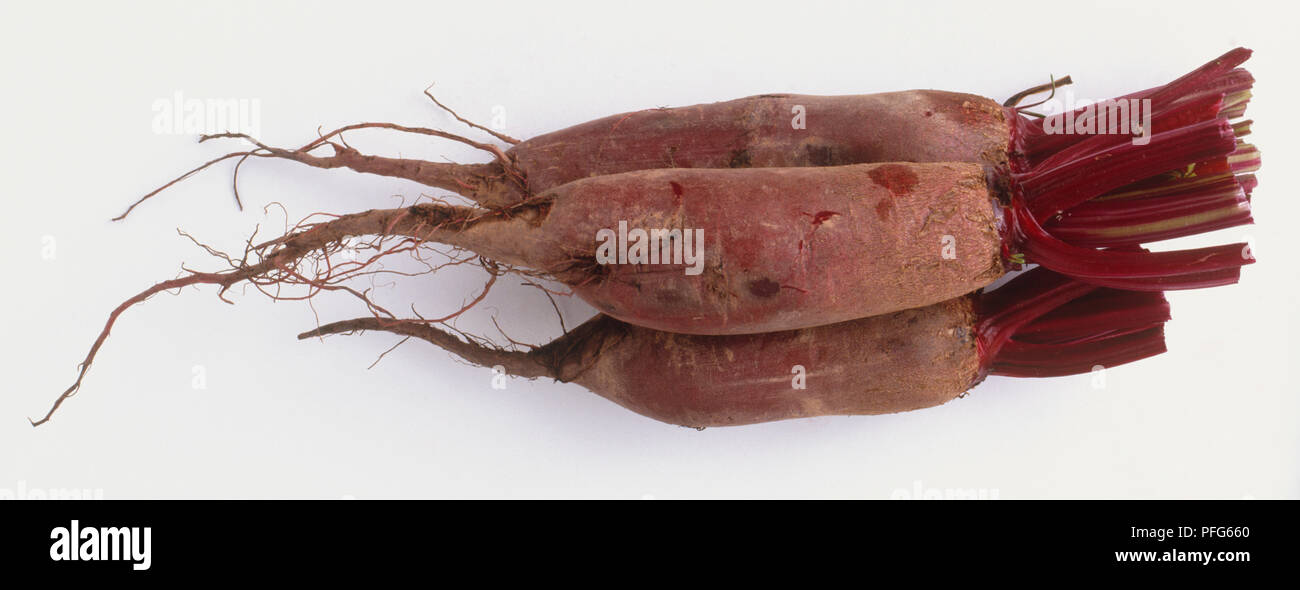 Beta Vulgaris Rubra High Resolution Stock Photography and Images - Alamy