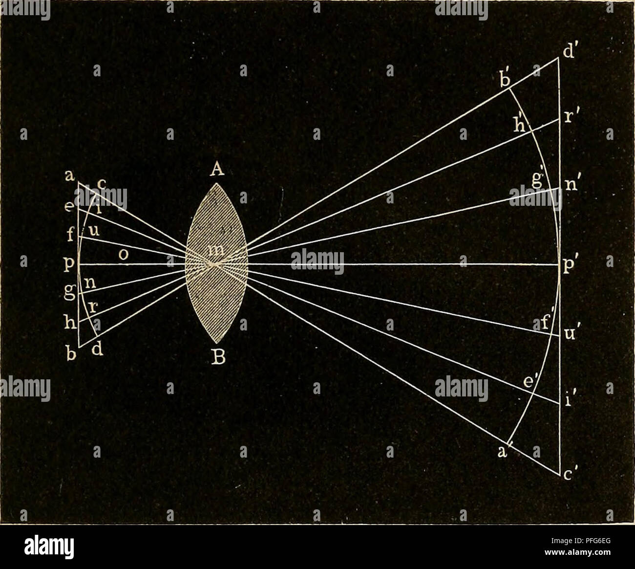 This book explores the theory, usage, history, and current state of the ...