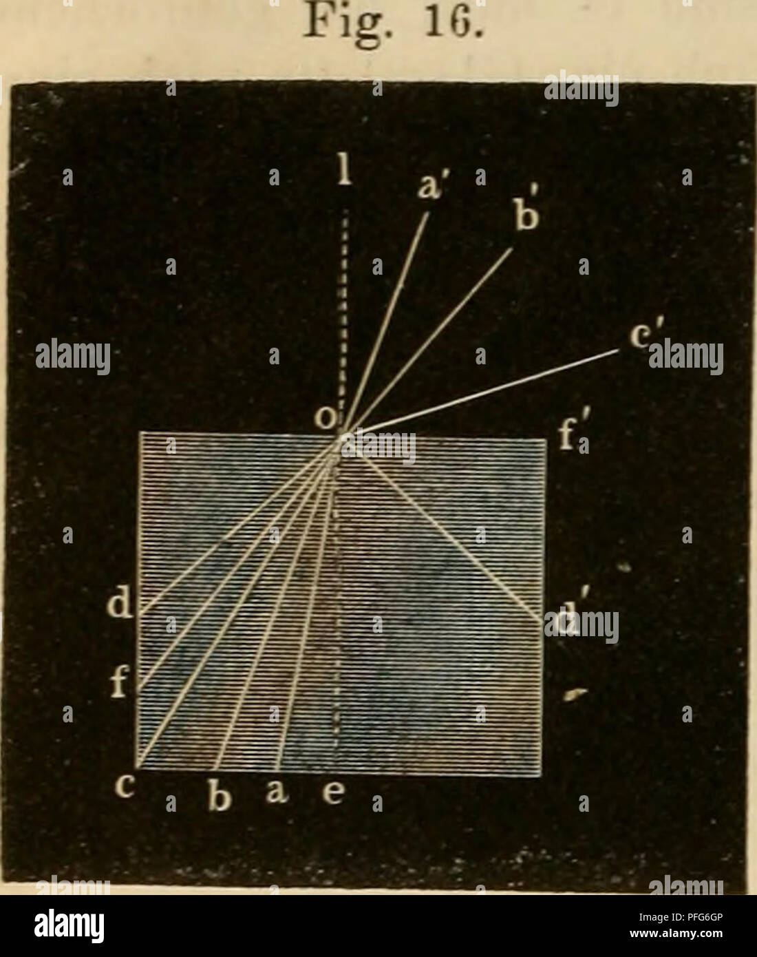 This work on microscopy covers the theory, use, and history of ...