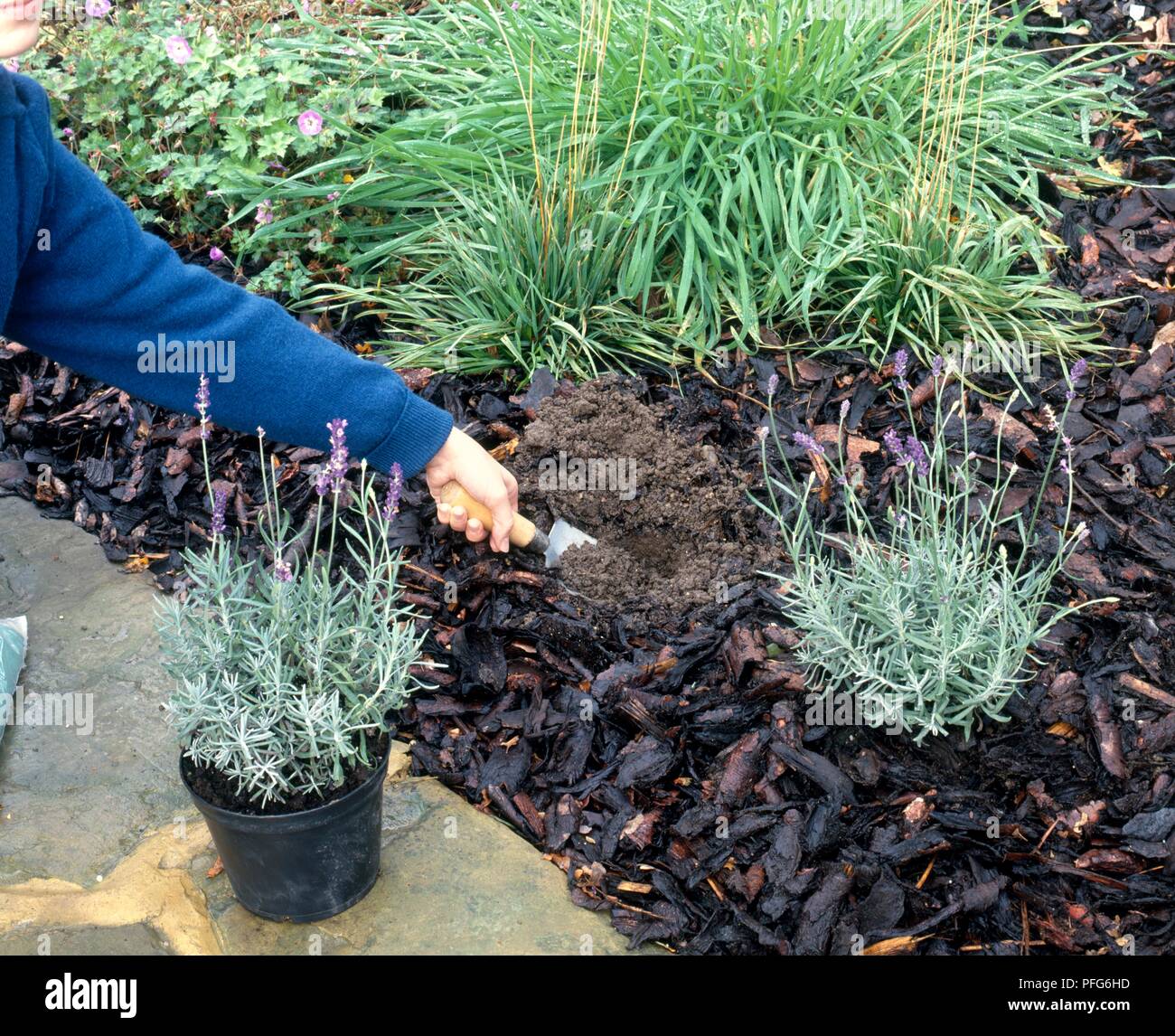 Man using trowel hi-res stock photography and images - Alamy