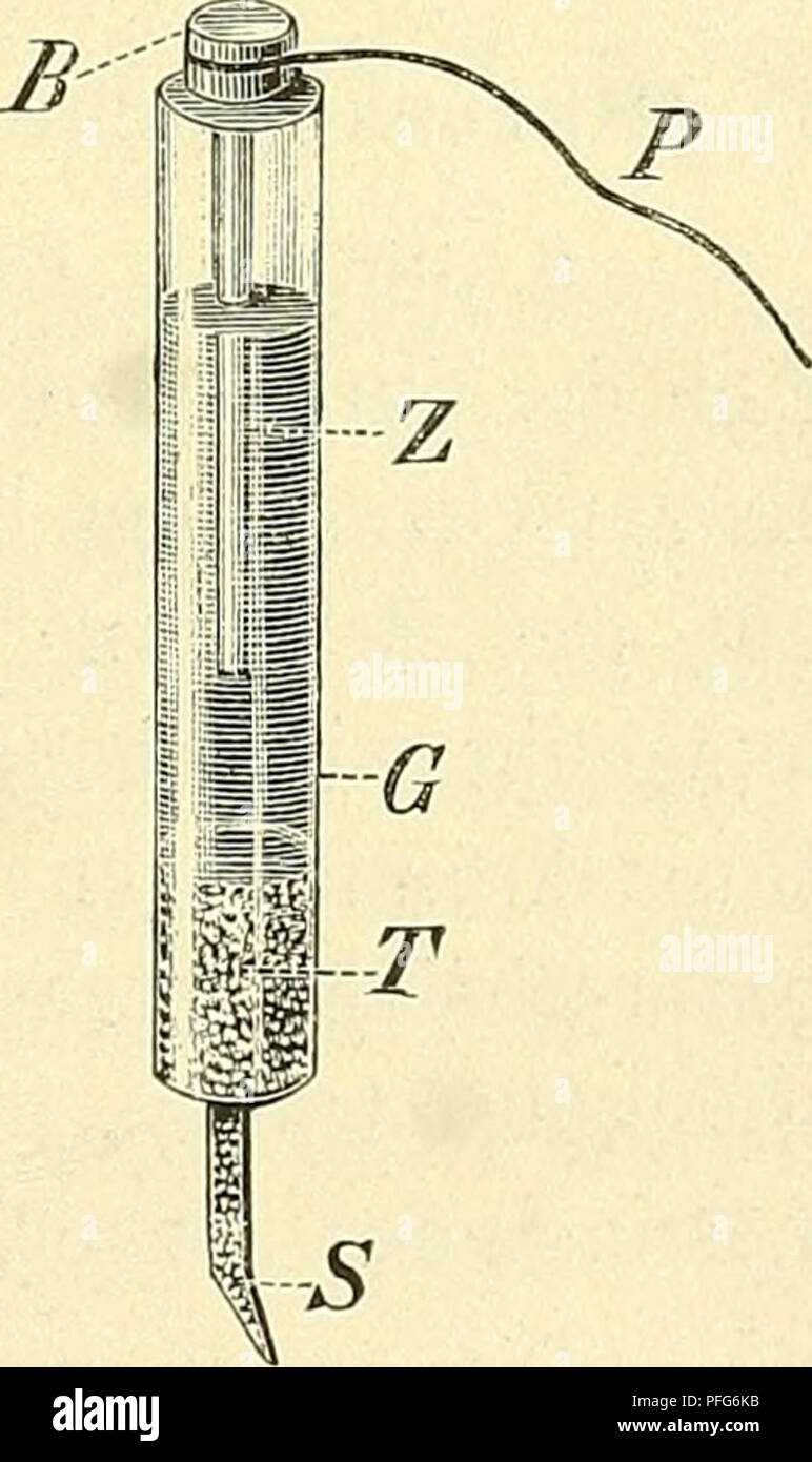 This guide to microscopy provides detailed instructions for using ...