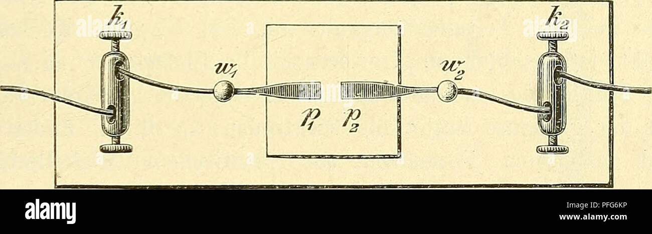 This guide to microscopy explains the generation of electric currents ...