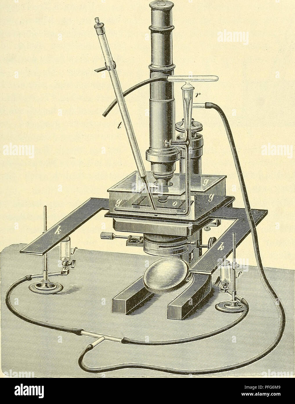 This guide to scientific microscopy offers practical advice for using ...