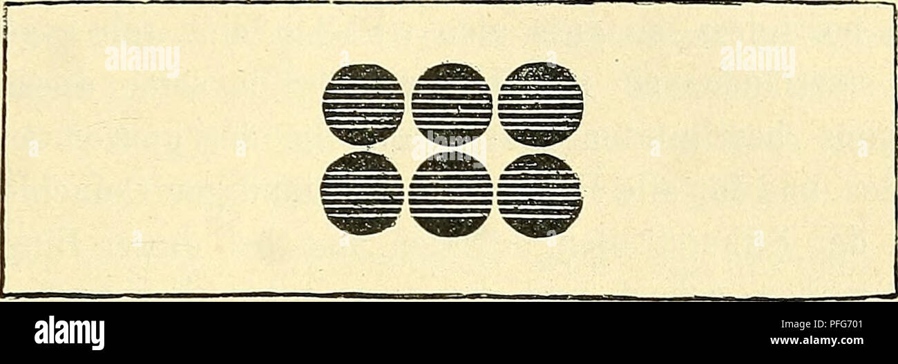 This guide on microscopy offers detailed instructions and images of ...