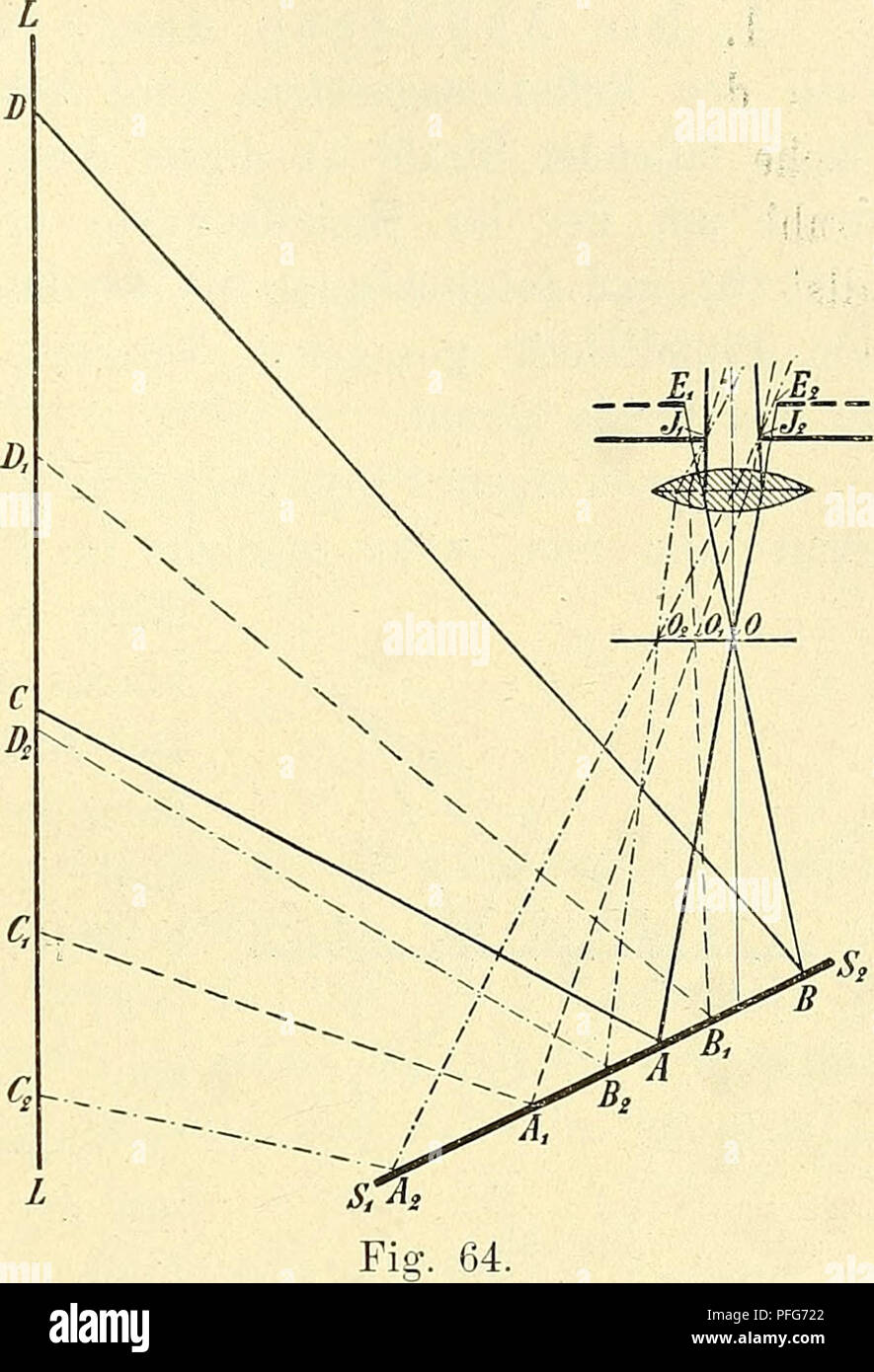 This guide on microscopy provides a detailed explanation of how ...