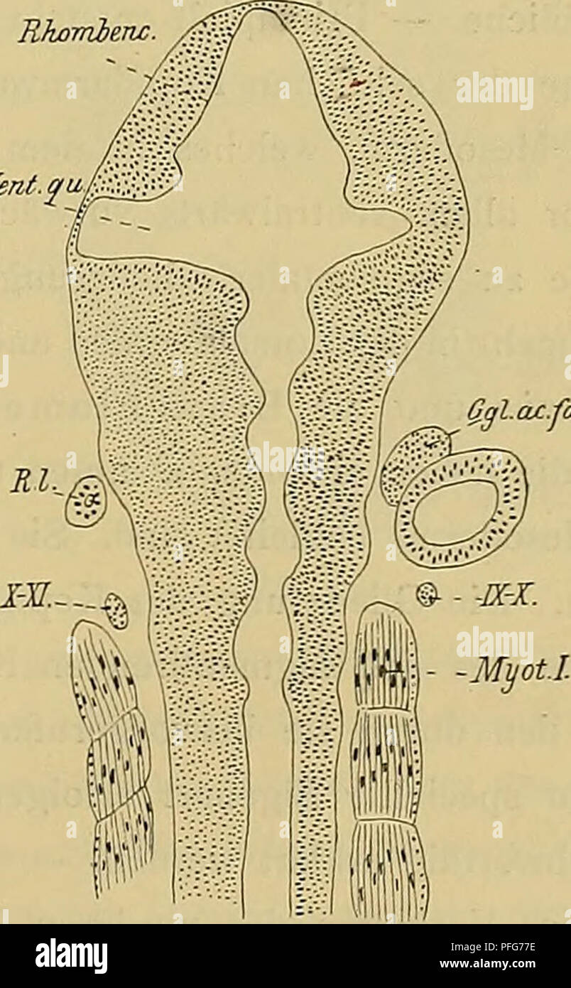 This volume from the Medicinisch-Naturwissenschaftliche Gesellschaft zu ...