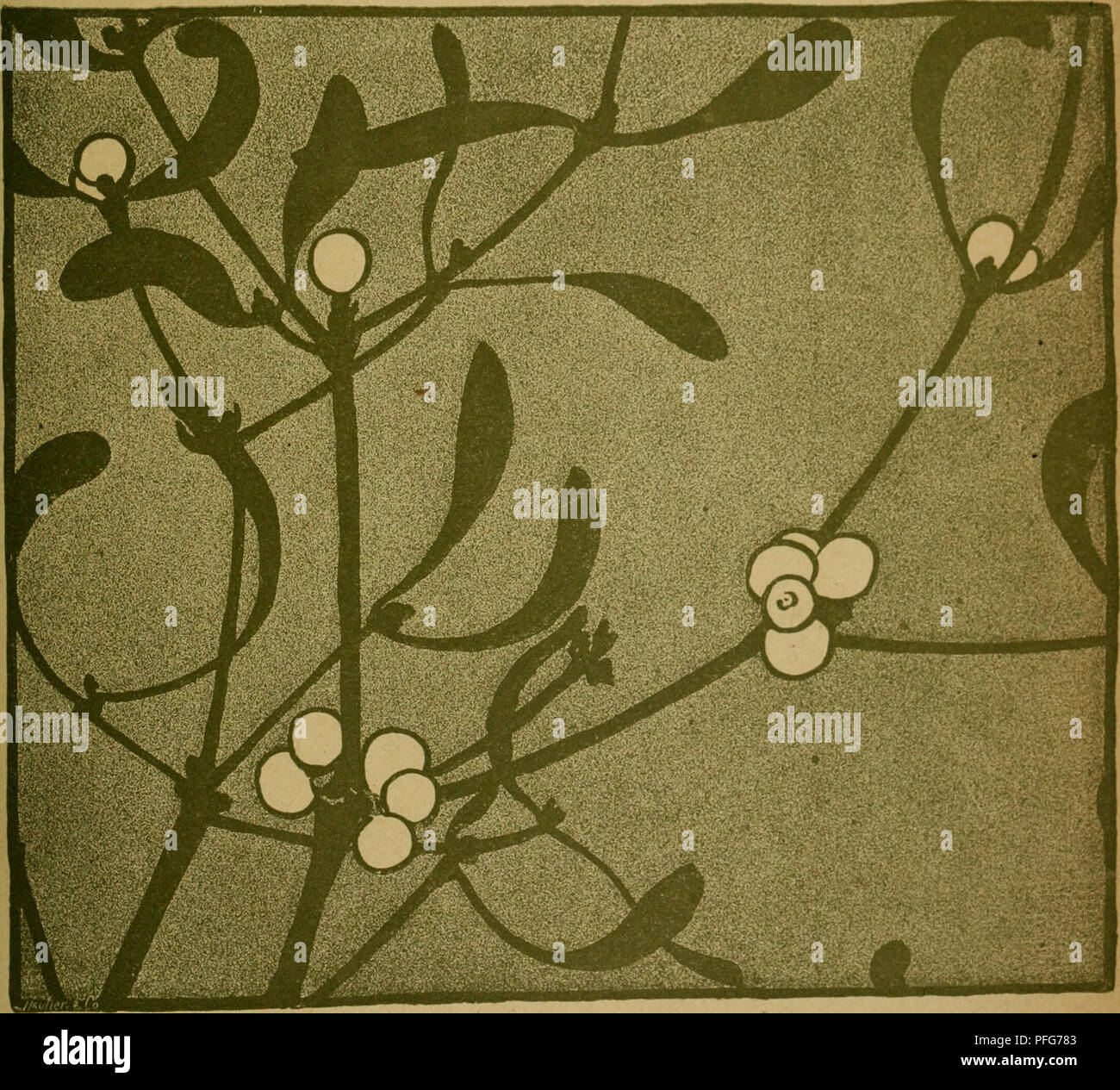This work focuses on plant life and phytogeography, offering insights ...