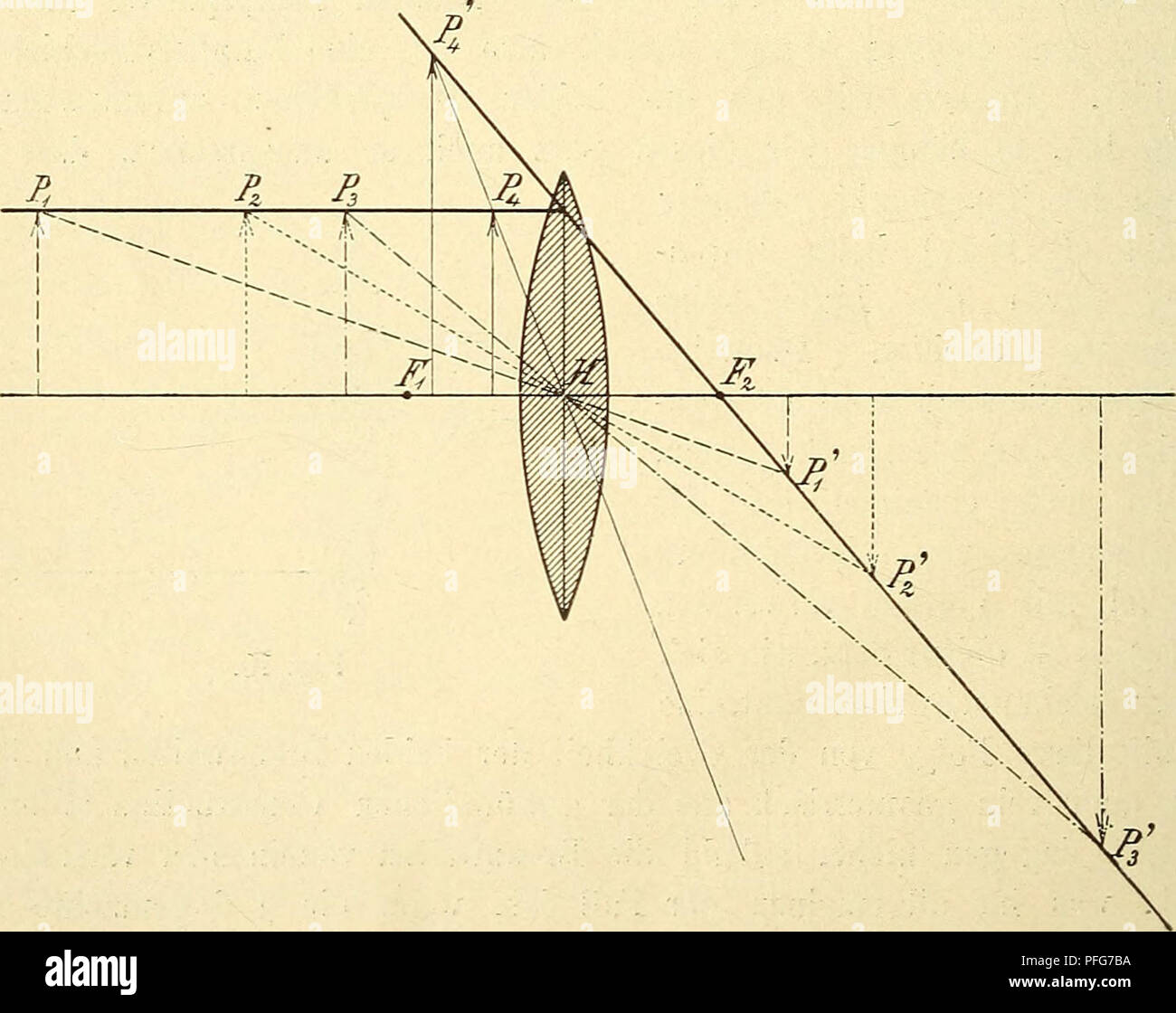 This guide to microscopy discusses the principles of image formation ...