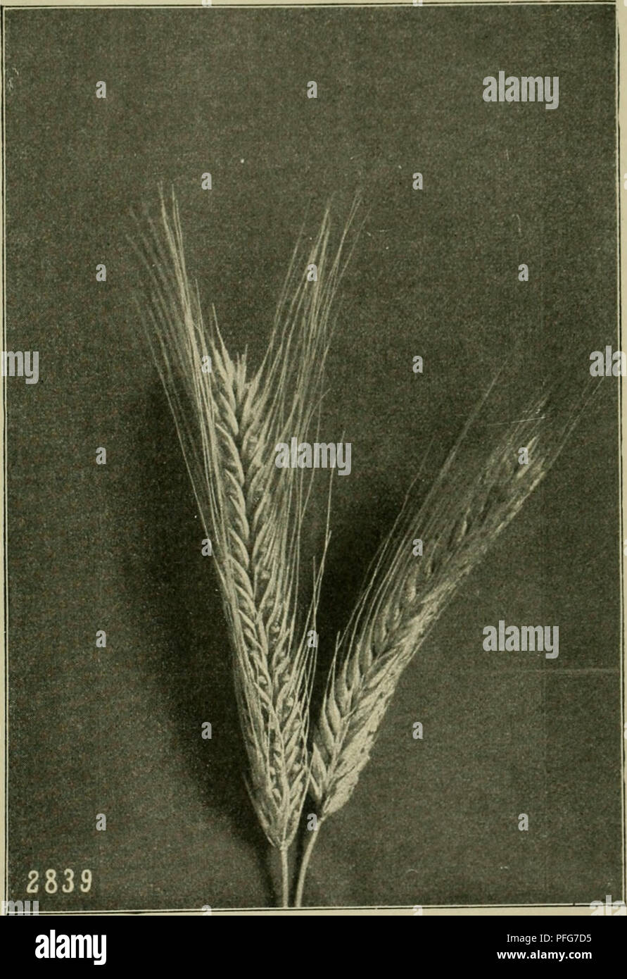This work explores the life cycle of plants, including their growth ...