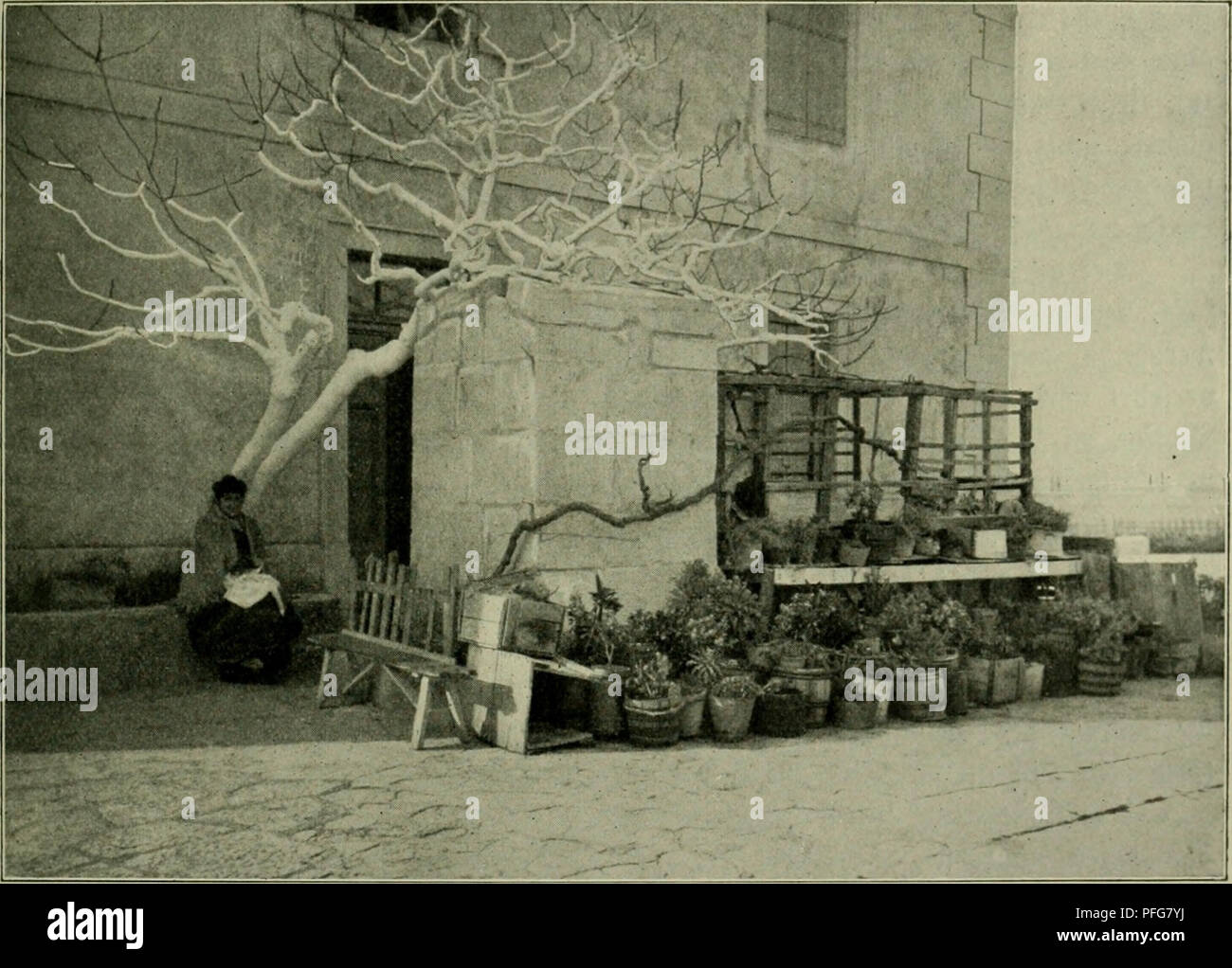 This image presents the study of plant life, with particular focus on ...