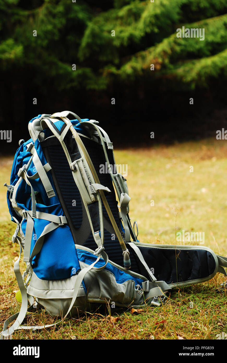 blue backpack in the woods Stock Photo - Alamy