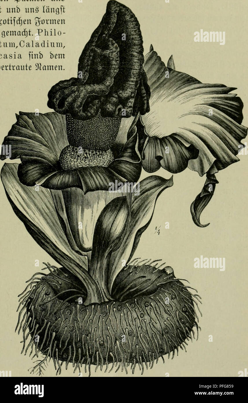 This image illustrates plant life across various regions, showing the ...