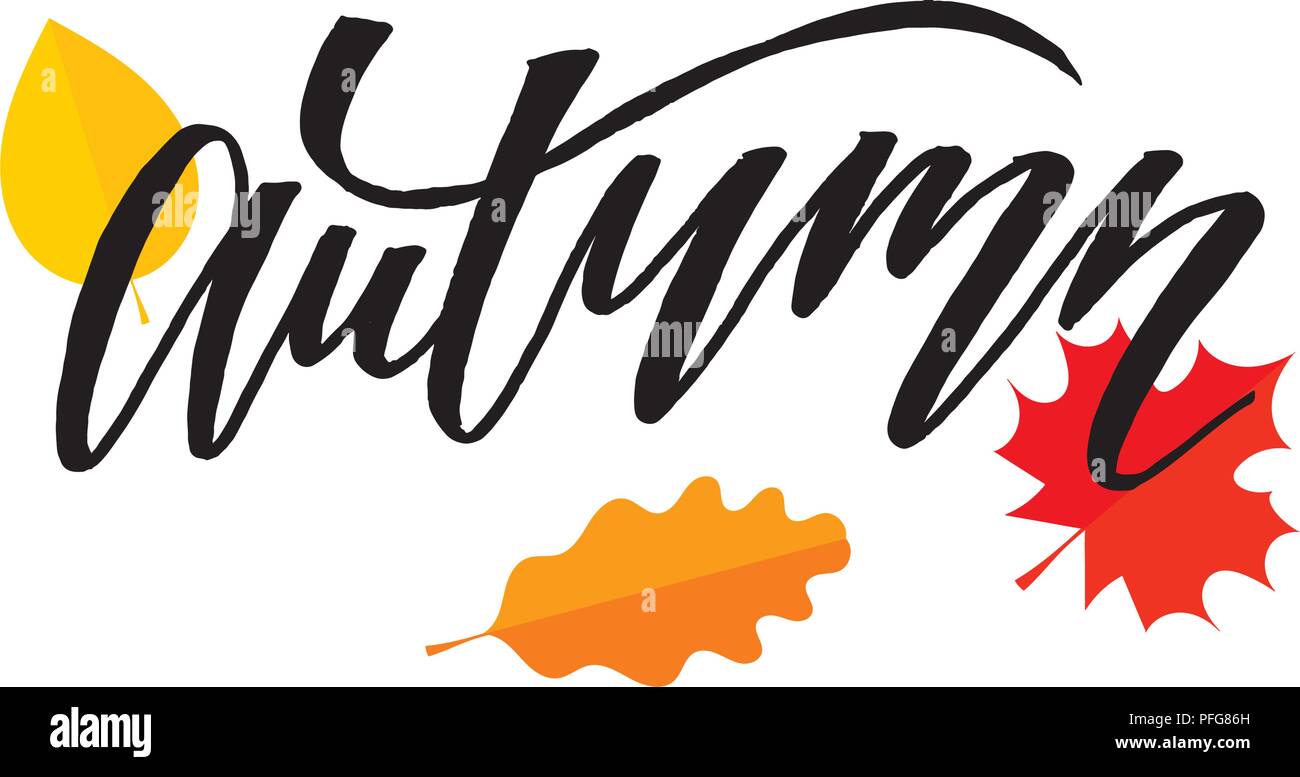 Autumn lettering Calligraphy Brush Text Holiday Vector Sticker ...