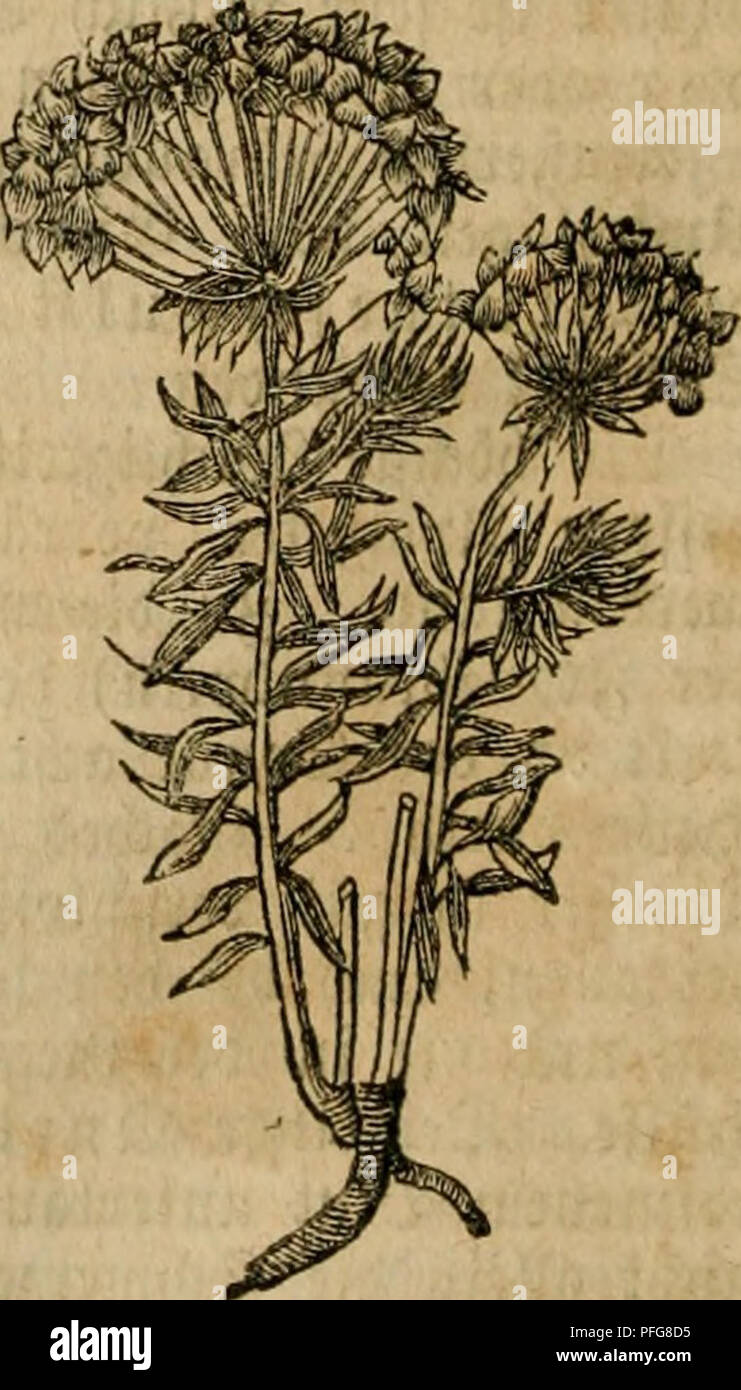 This illustrated guide describes various medicinal plants, their uses ...
