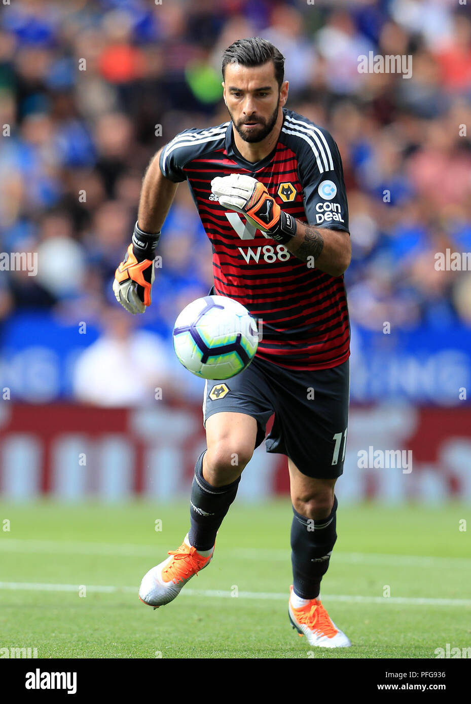 Rui patricio hi-res stock photography and images - Alamy