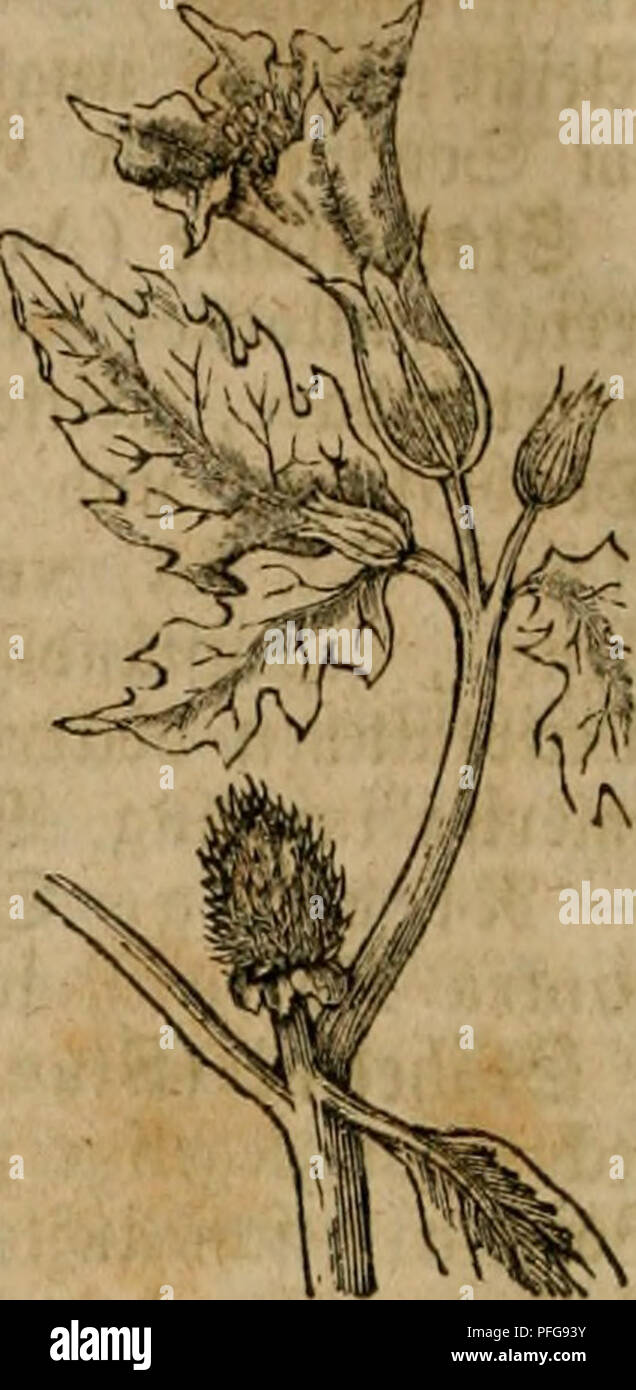 Vi0 hi-res stock photography and images - Alamy