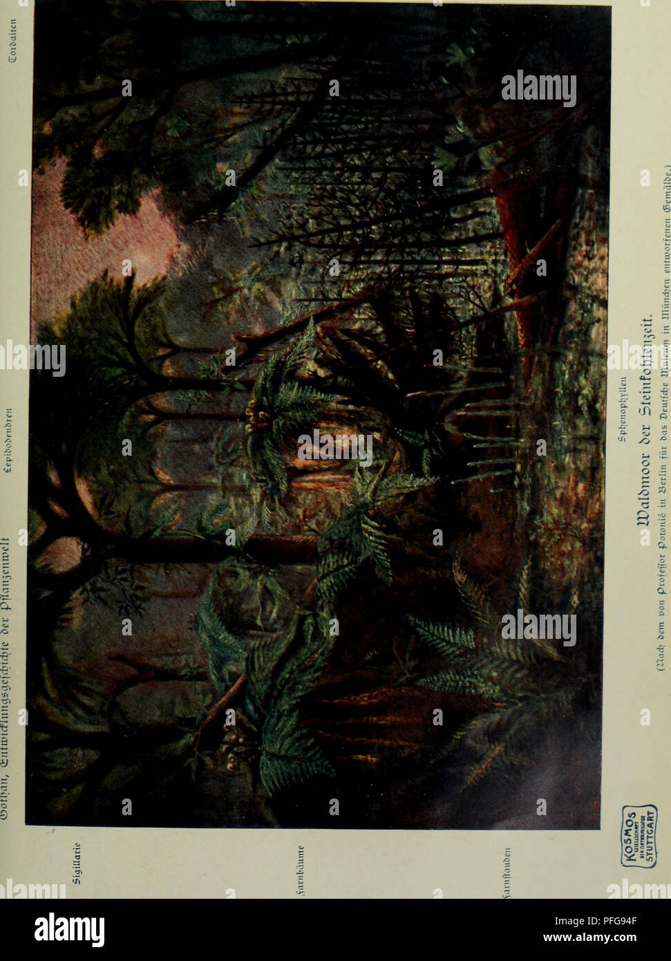 This work discusses the life and distribution of plants, focusing on ...