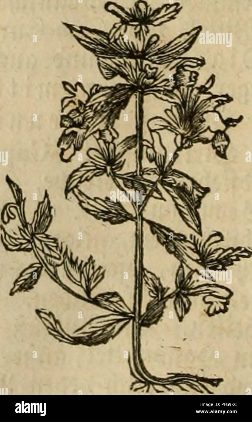This *Illustrated Herb Book* offers detailed descriptions of medicinal ...