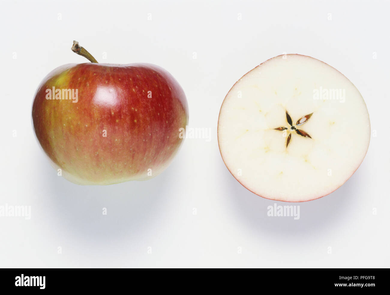 Apple Cut In Half Horizontally