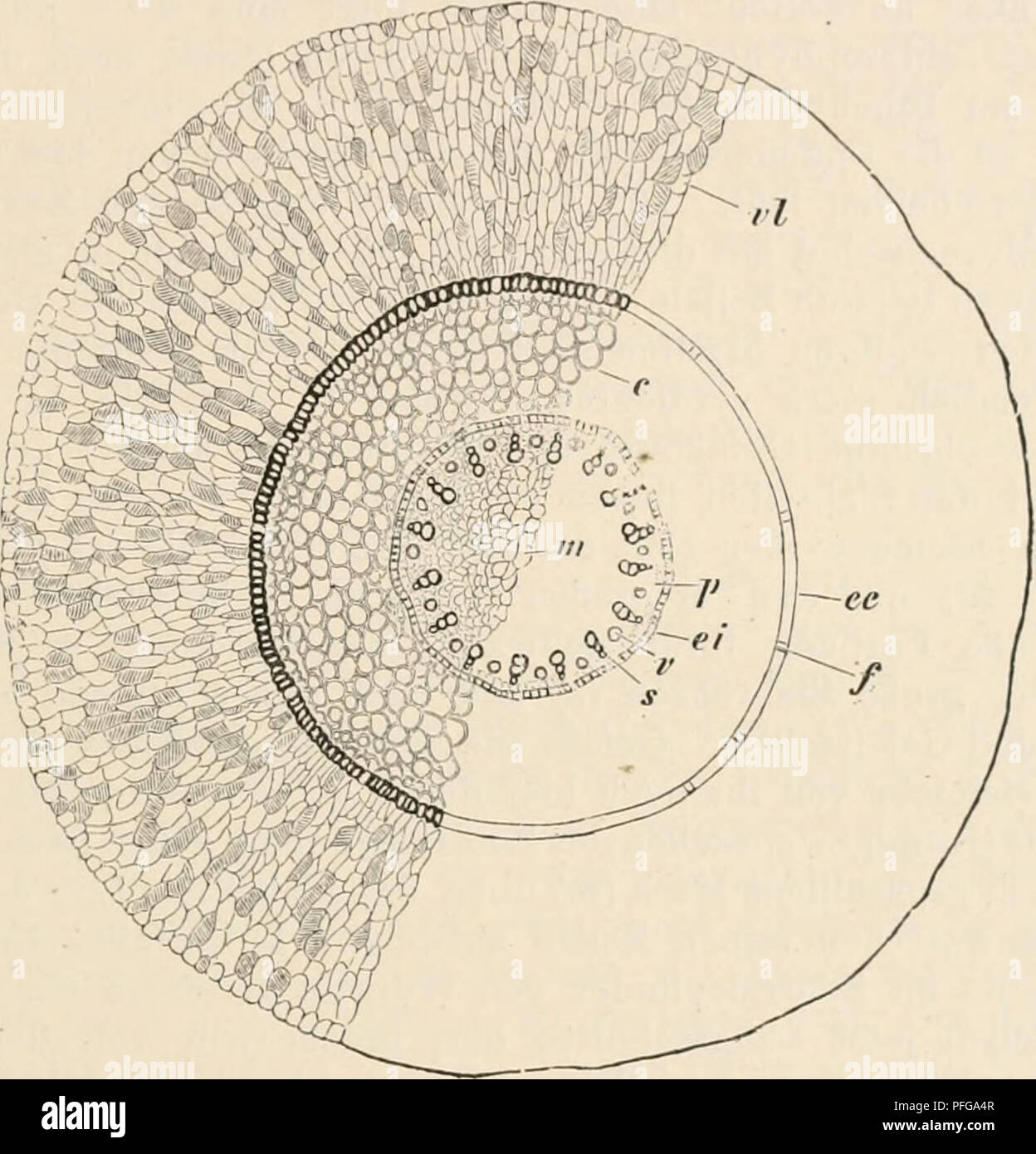 A practical guide to self-study in microscopic botany, aimed at ...