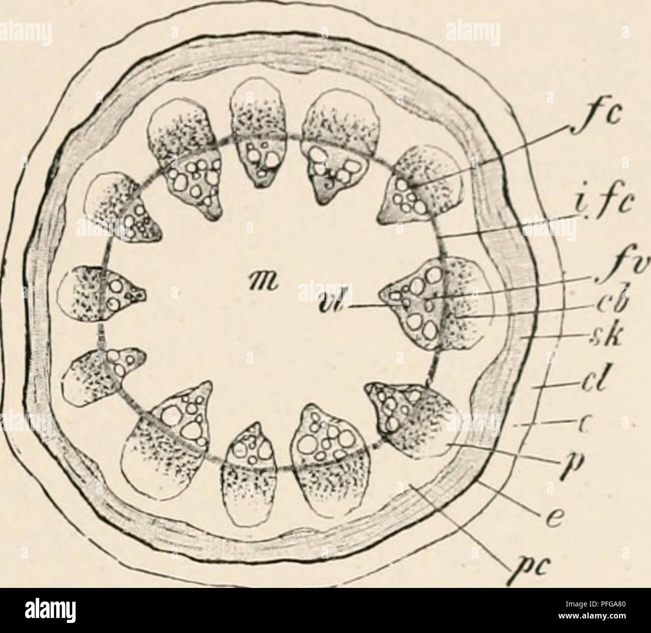 This guide offers instructions for beginners and advanced users on ...
