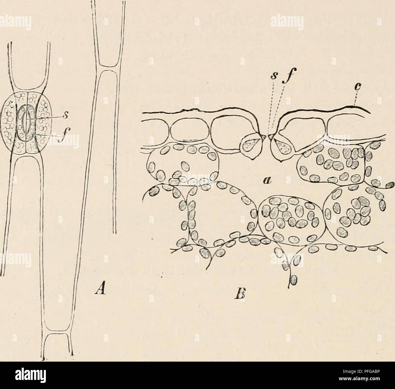 This guide provides a self-study approach for beginners and advanced ...