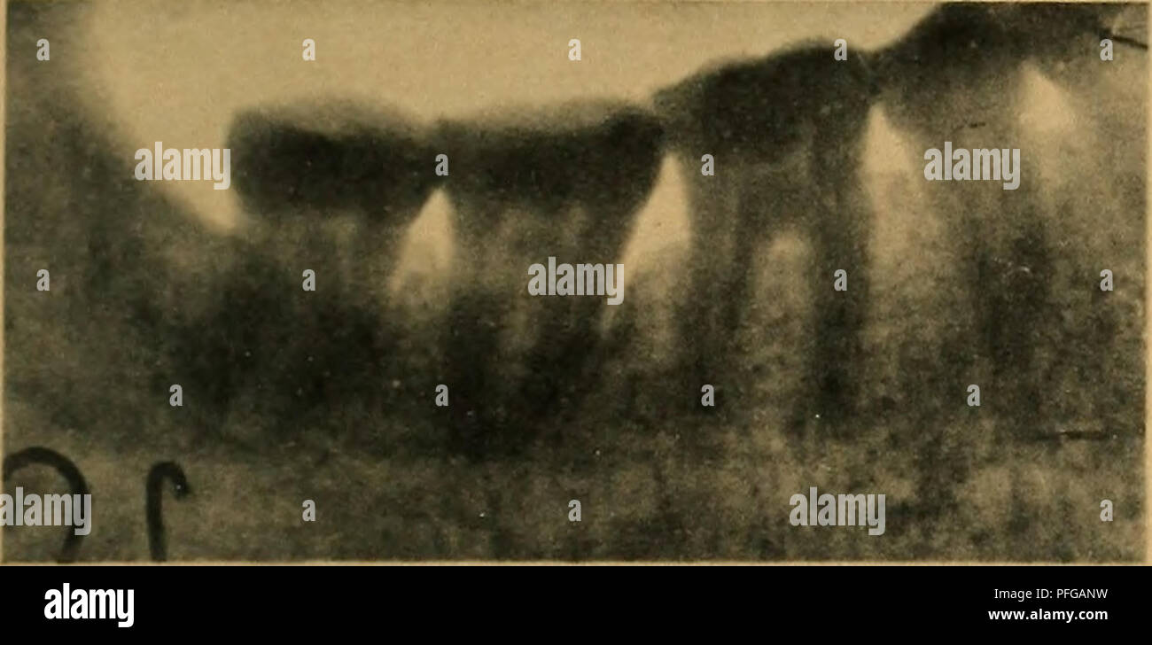 This comparative anatomical study explores the teeth of humans and ...