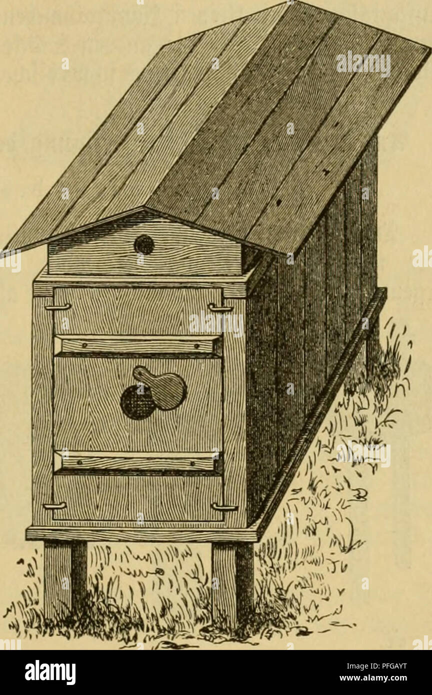 This work is a comprehensive study on beekeeping, providing insights ...