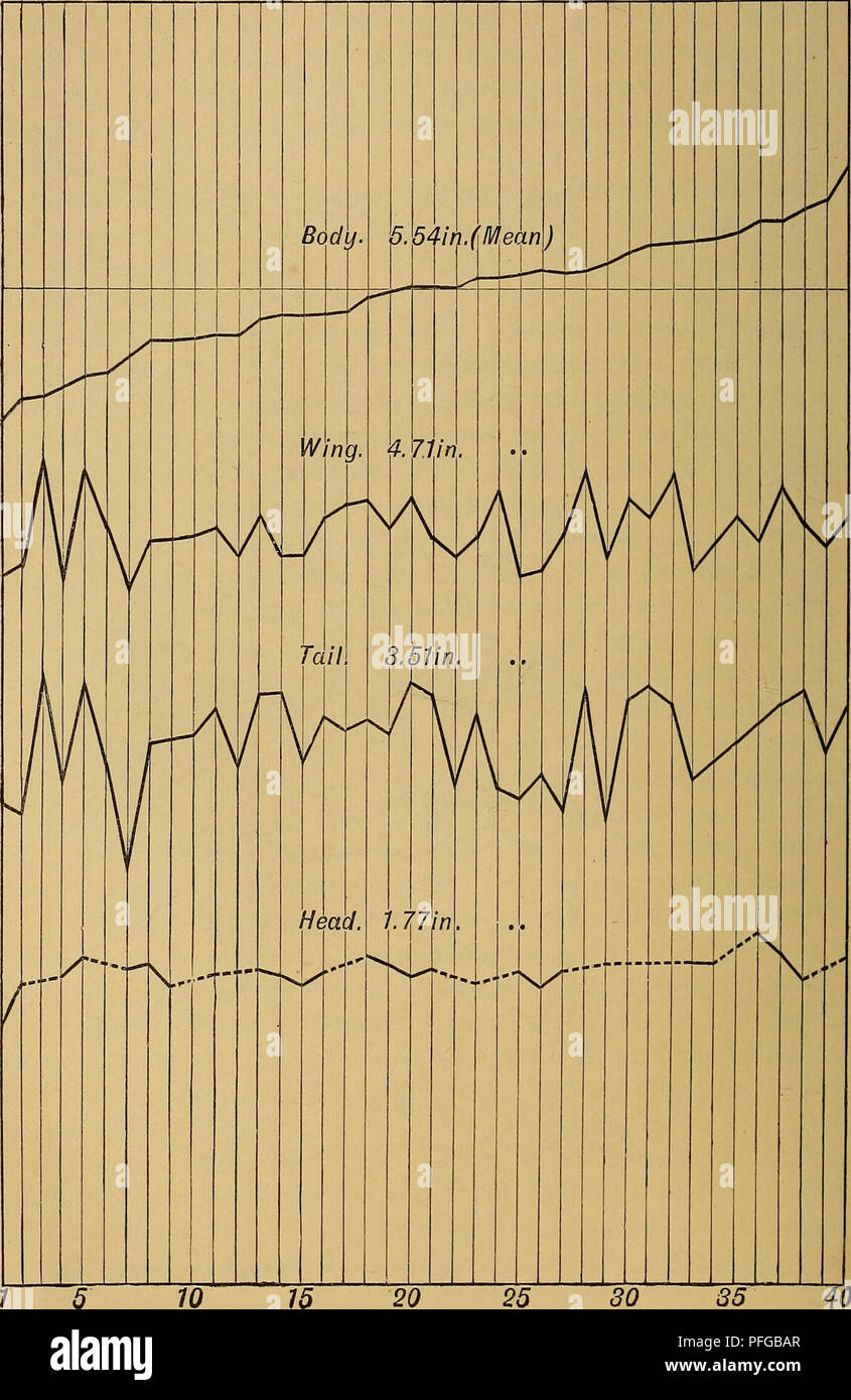 Alfred Russel Wallace's work on Darwinism outlines the theory of ...